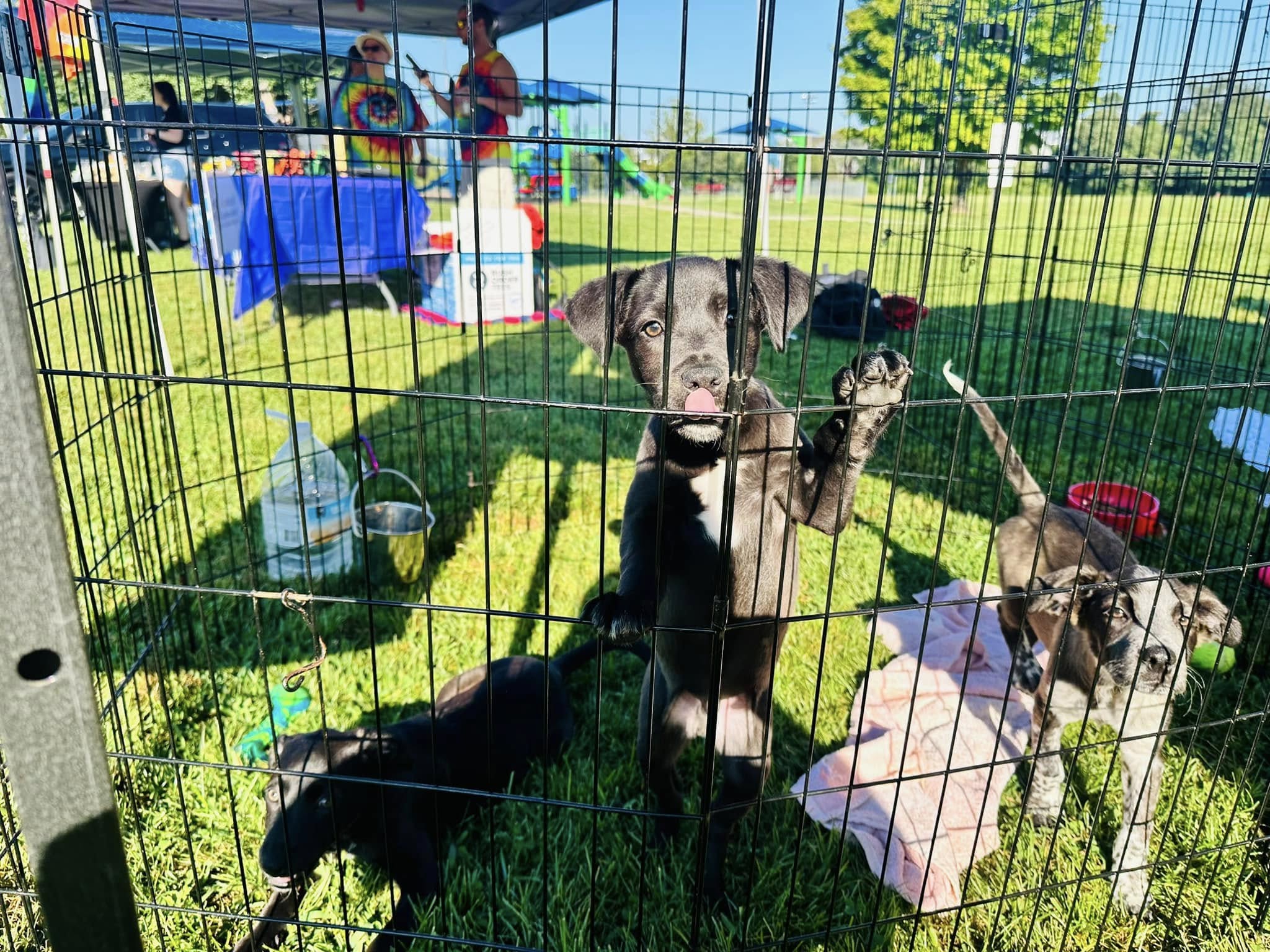 Parks and Recreation - Town of Fletcher, North Carolina